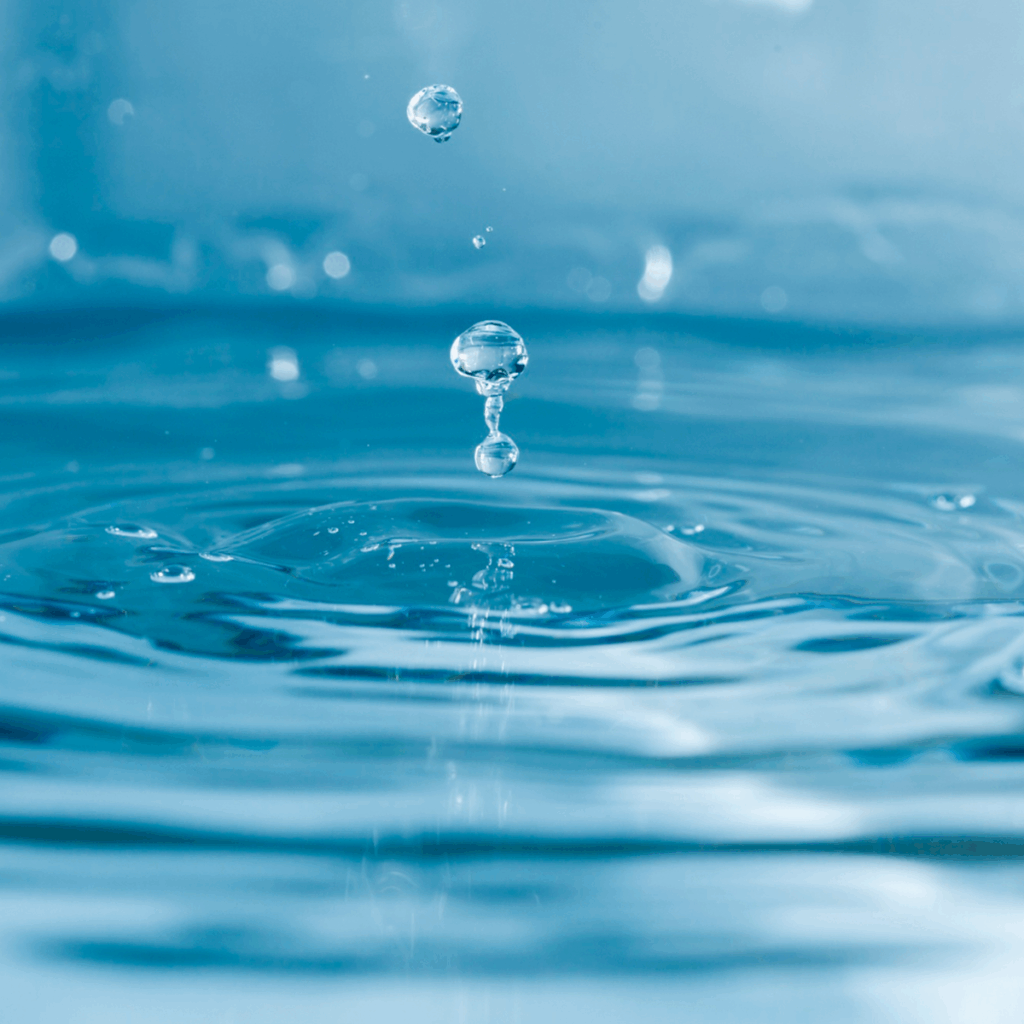 GILDAN ESG – EZY-T